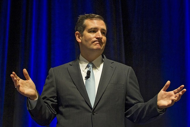 Cruz: Dear RINO Senators, I Won’t Help Candidates Primary You