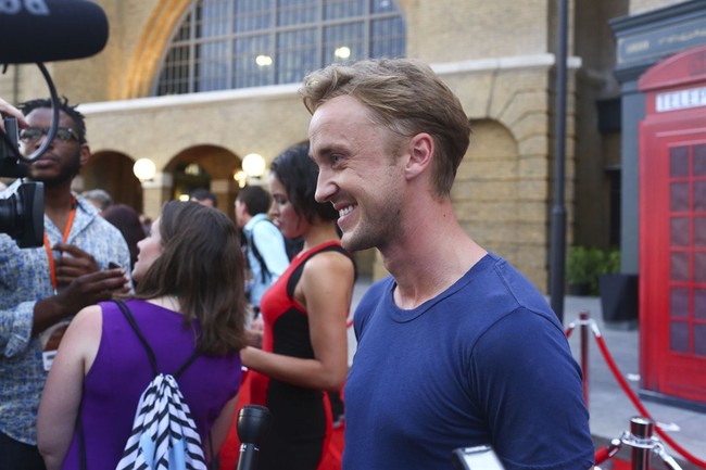 A Rare Moment of Courage in Hollywood: Tom Felton’s Quiet Defiance – PJ ...