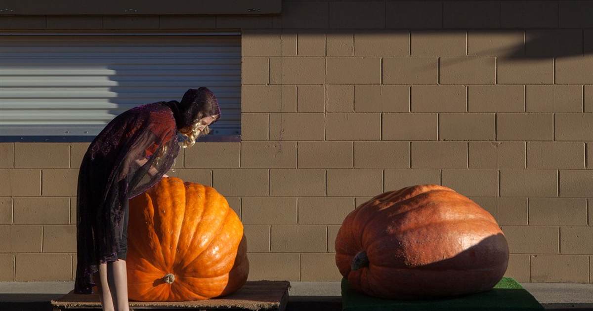 5 Political Halloween Costume Ideas