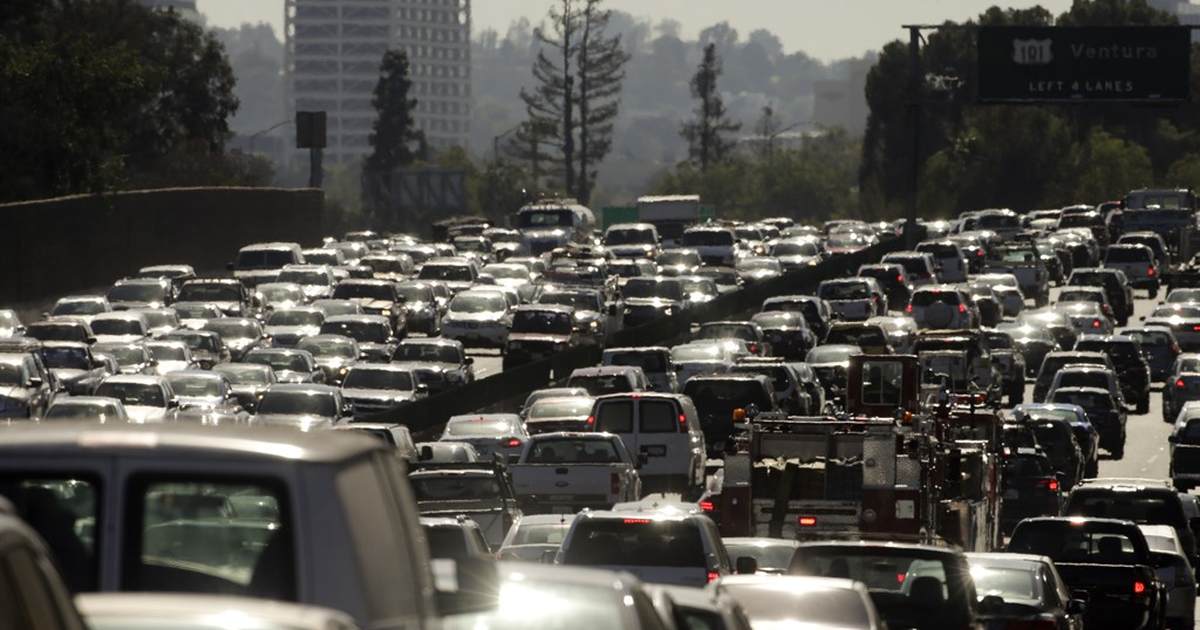 Anti-ICE Demonstrators Fly Foreign Flags As They Shut Down LA Freeway