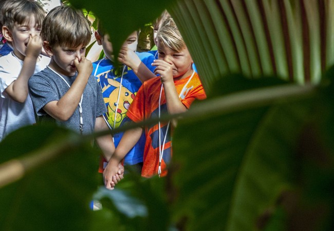 Americans Prefer Boy Children, Say They Are Easier To Raise
