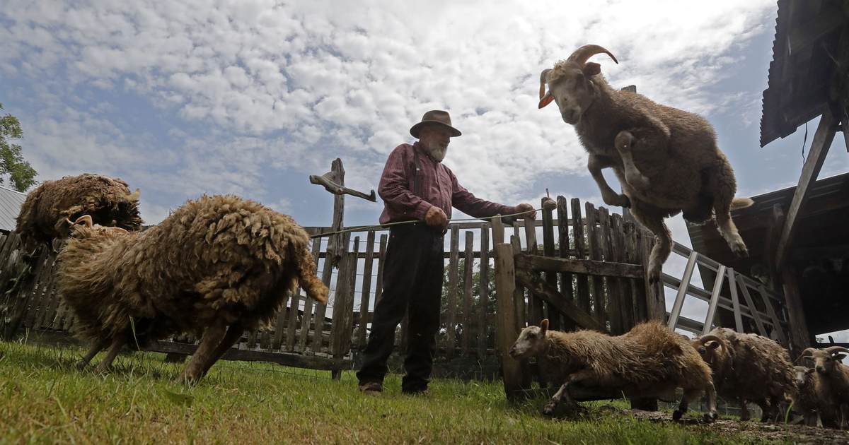 This State Just Banned Lab-Grown Meat