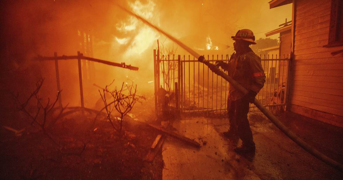 State Farm Fires Executive After What He Told an Undercover Reporter