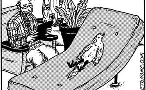 Chip Bok - Political Cartoons Daily & Weekly – Townhall