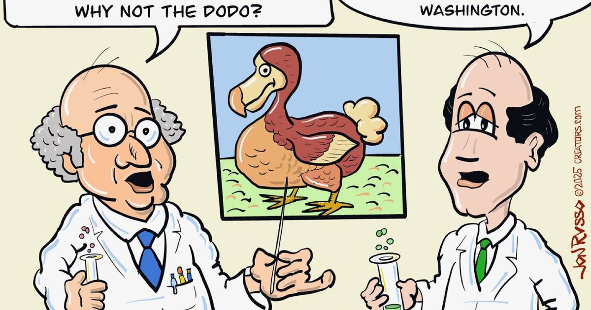Jon Russo - Political Cartoons Daily & Weekly – Townhall