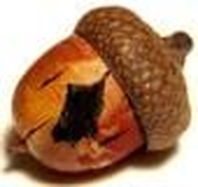 Cracking ACORN Requires Comprehensive Electoral Reform – PJ Media