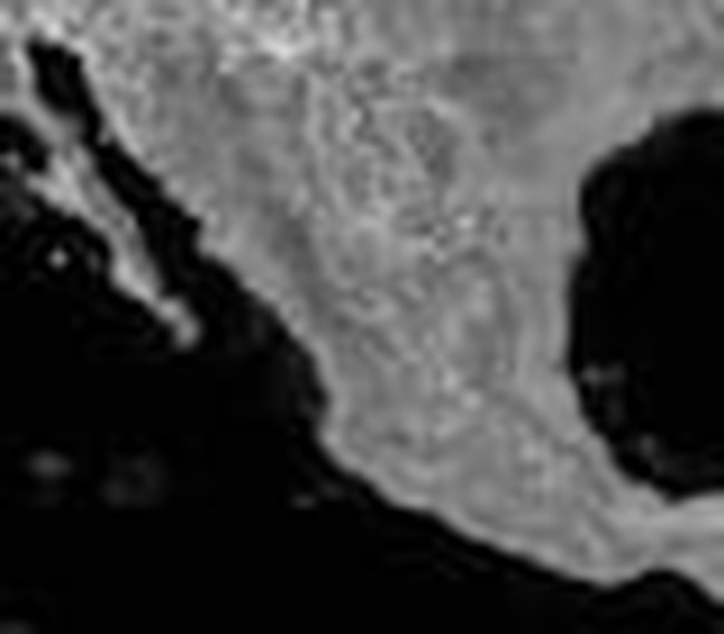 Failed State Watch: How Much Longer for Mexico? (Part One) – PJ Media