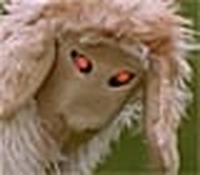 Mister President, We Cannot Afford a Demon Sheep Gap! – PJ Media