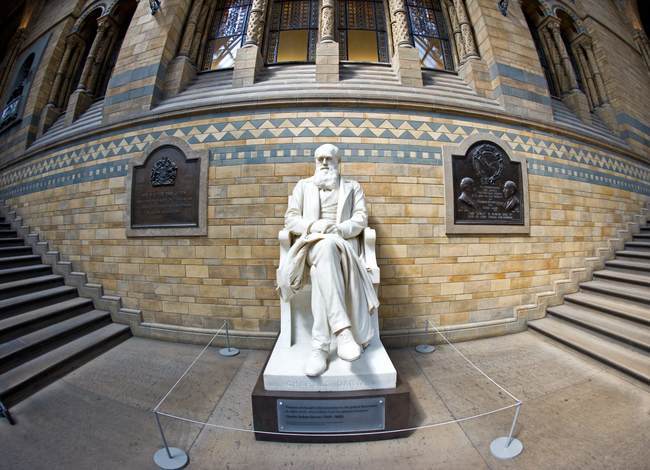Darwin's Legacy: Anti-Science, Anti-God, Anti-Compassion – PJ Media