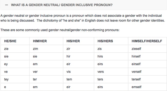CUNY Lists 'Zim,' 'Ver,' 'Eeirself' as 'Gender Pronouns' – PJ Media