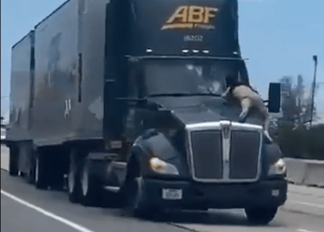 Florida Man Friday: Supercharged Truck Attacker Goes Full T.J. Hooker ...