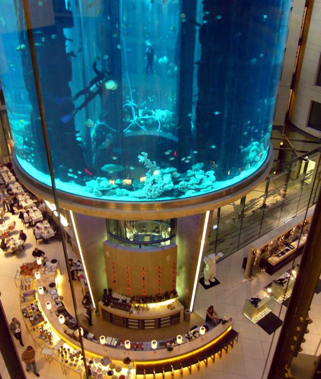 Blue Fish, Red Fish, 1,500 Dead Fish: Berlin Mega Aquarium Bursts ...