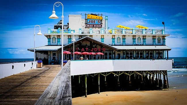 Florida Man Friday: Get the Real Poop on His Late-Night Deposit at Joe ...