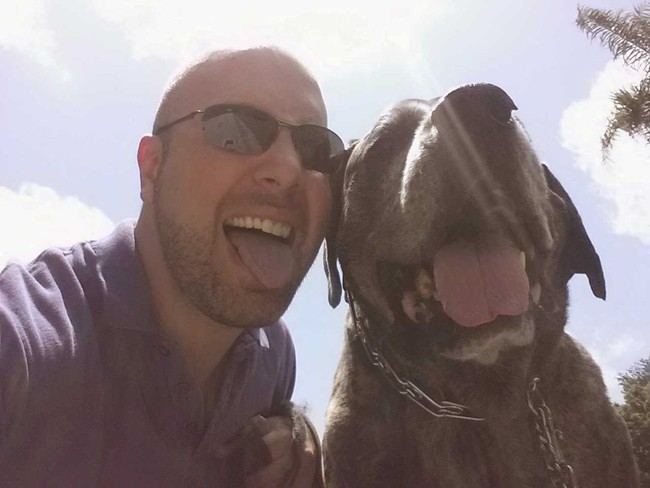 What Life Is Like With a 250-Pound Dog – PJ Media