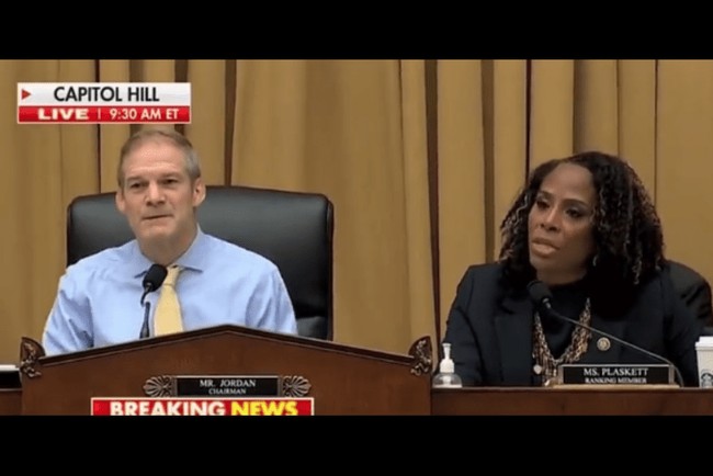 Plaskett Gets Taken to the Cleaners When She Tries to Stomp on RFK's ...