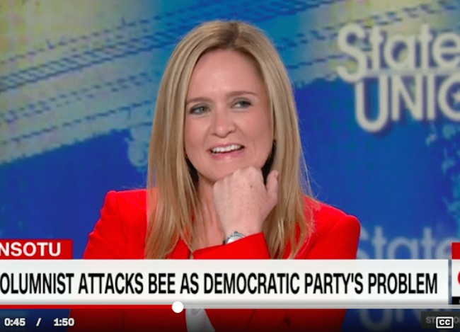 There is No Smug Liberal Problem, Says Bee – RedState