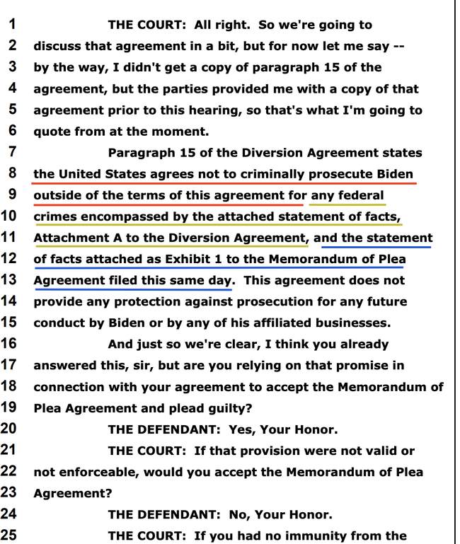 Official Court Transcript From Hunters Foiled Plea Agreement Hearing Sure Seems To Show