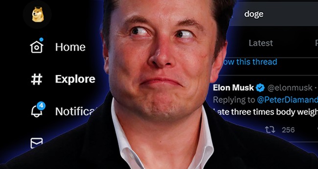 HILARIOUS: Elon Musk changed the Twitter bird logo to the DOGE dog ...