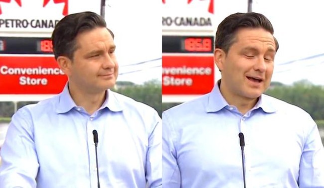 Conservative Canadian PM Hopeful Owns Yet Another 'Journalist ...