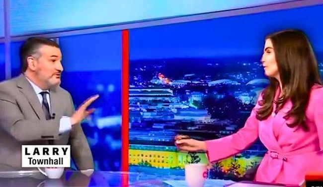 Kaitlan Collins Turns Into a Sputtering Mess After Ted Cruz Exposes CNN ...