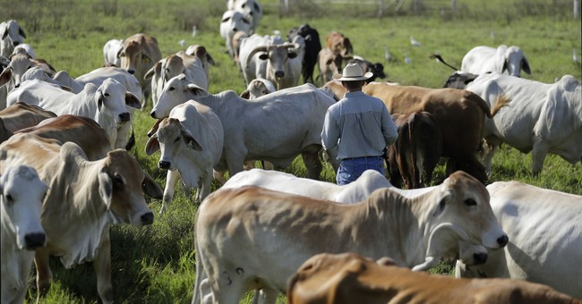 What Is Going On With the Strange Deaths and Mutilations of These ...