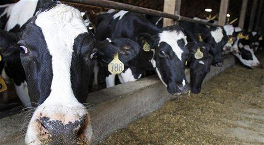 Milk: It does a body good again – HotAir