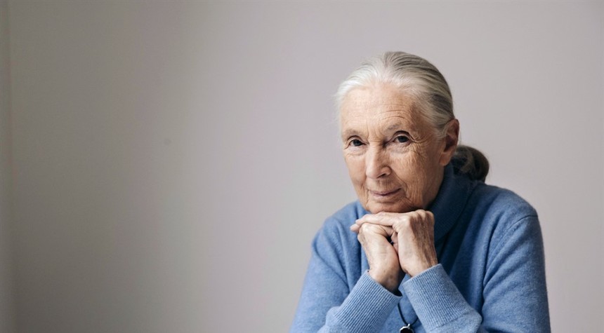 Remember that nice British chimpanzee lady? I think she wants us dead ...