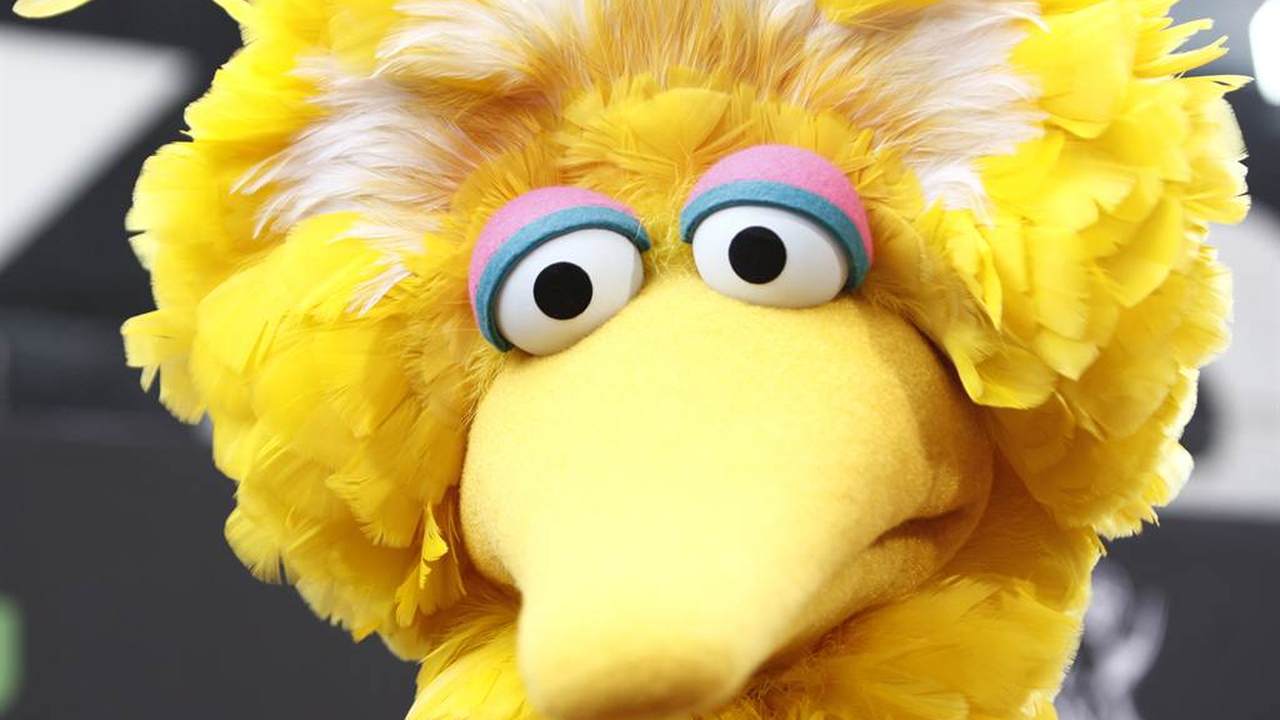 Donald Trump Wants Big Bird's Head on a Platter, and There's a Good ...